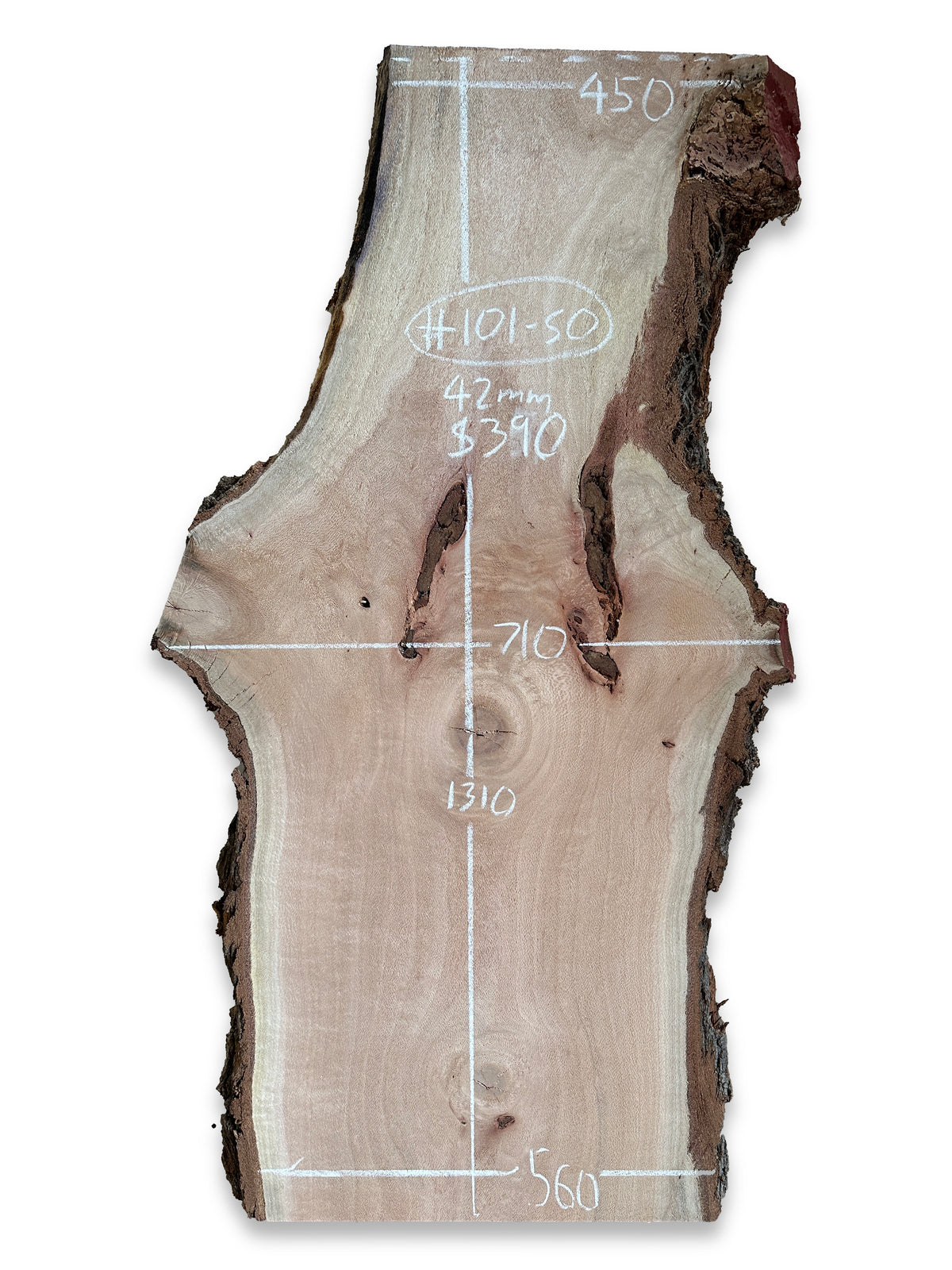 Silky Oak Live Edge Hardwood Timber Slab - Kiln Dried - #101-SO ...