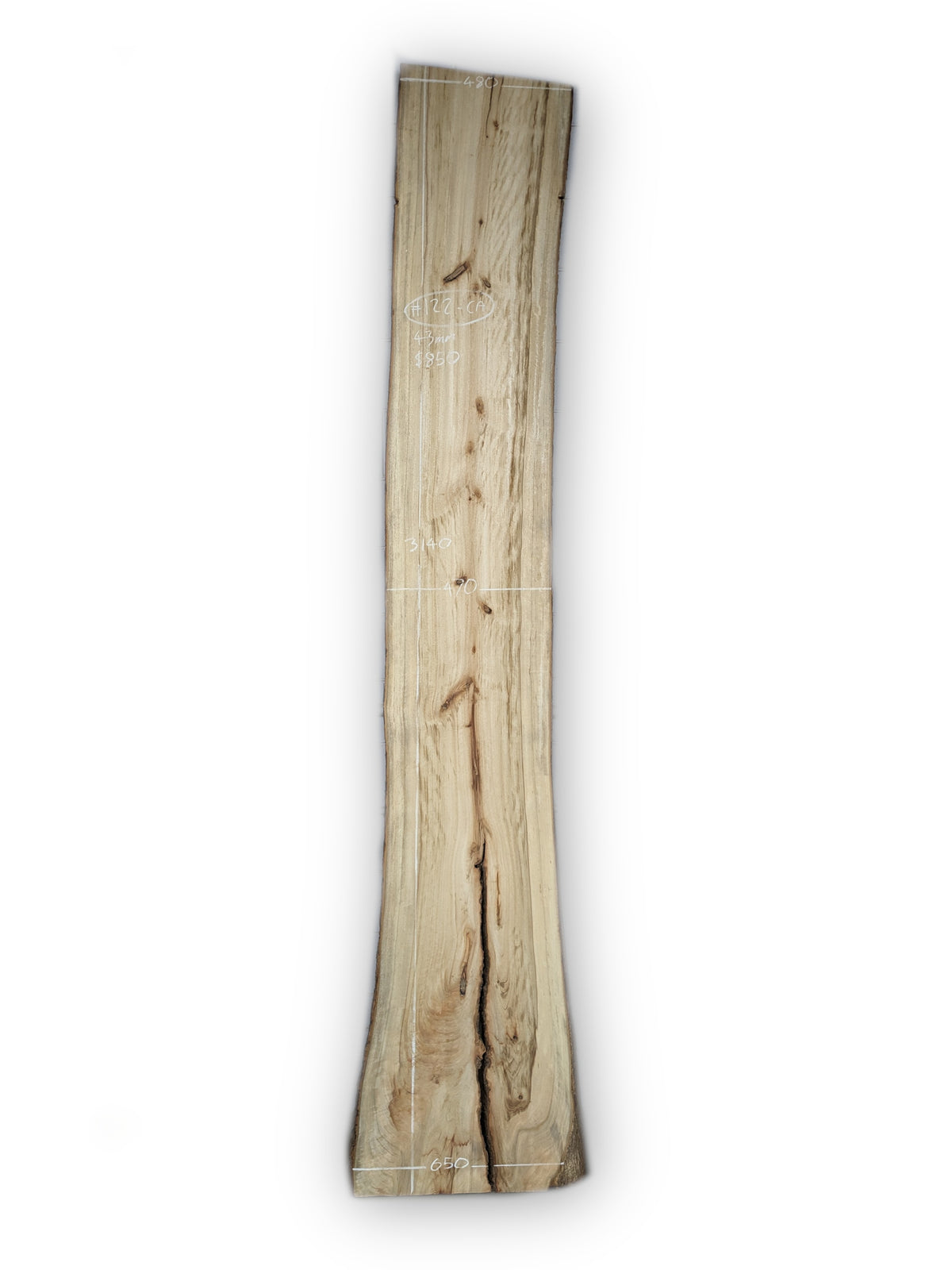 Camphor Laurel Live Edge Timber Slab - Kiln Dried - #122-CA — Natural ...